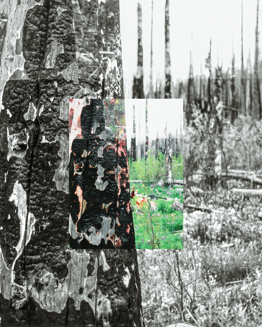 Koa A. Tom Photography – I'll color balance that