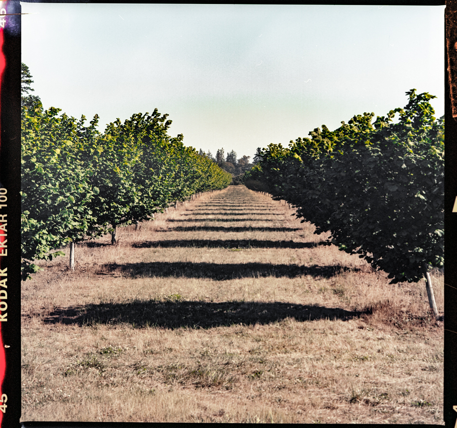 Koa A. Tom Photography – cosmic bowling alley